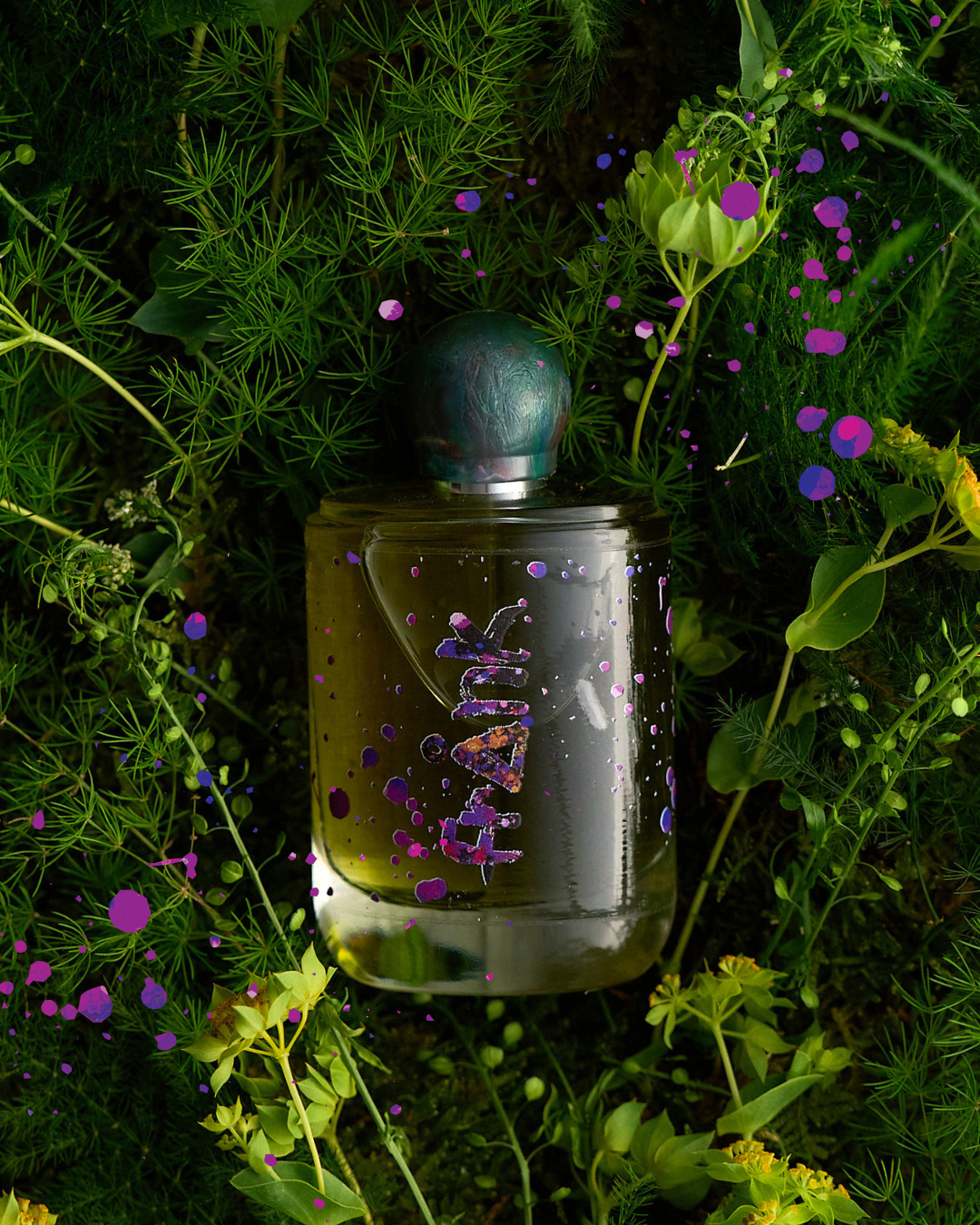 Frånk | Frankincense, ethically sourced and hand-made fine fragrance ...